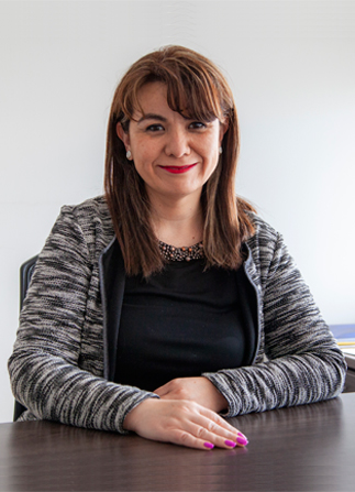 Fondo Adaptacion - Estructura orgánica